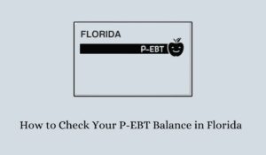 How to Check Your P-EBT Balance in Florida - MyAccessFlorida